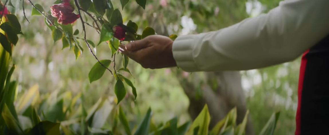 Beyond the Pyramid: The Fictive Dream – Nick Enlowe